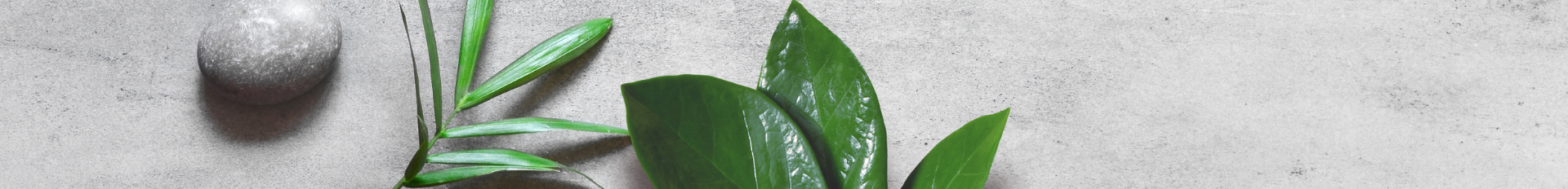 Spa Etiquette - FAQs | Evolved Medical Spa